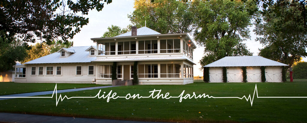 Careers – Joseph Farms